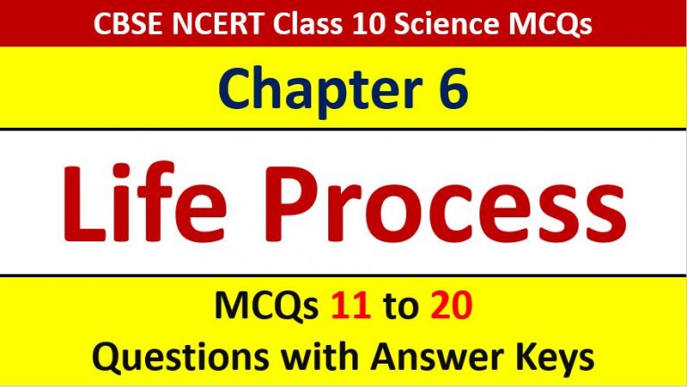 Our Environment CBSE Class 10 Science MCQ Questions Answer Keys